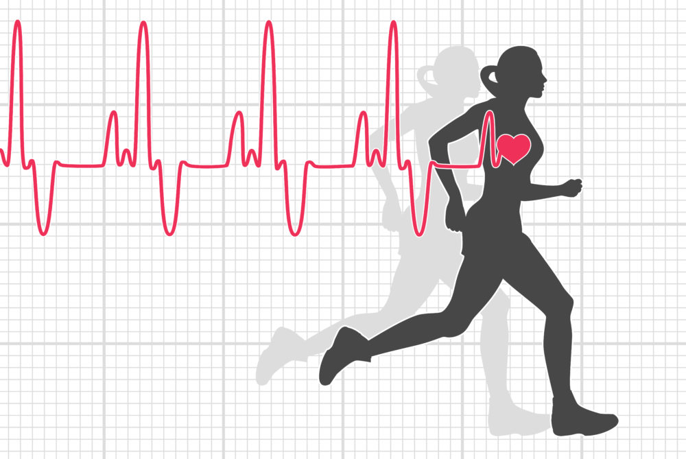 Heart Rate Training The Running Center